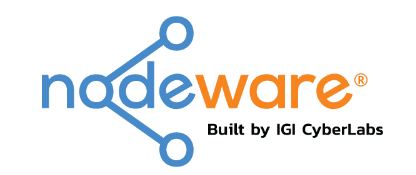 Solution Partners - IT Nation Evolve