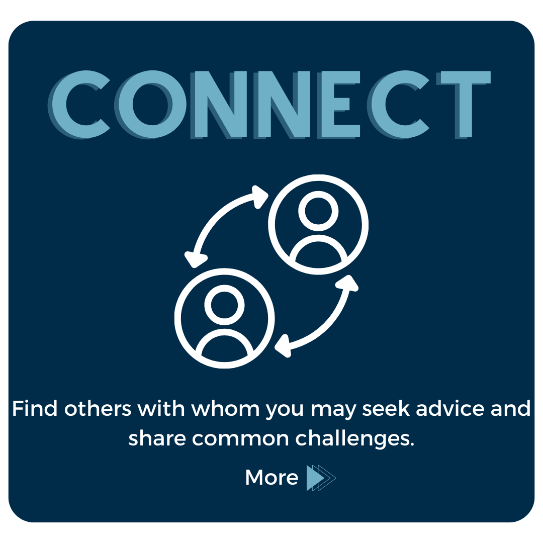 Home - IPA– The Bridge