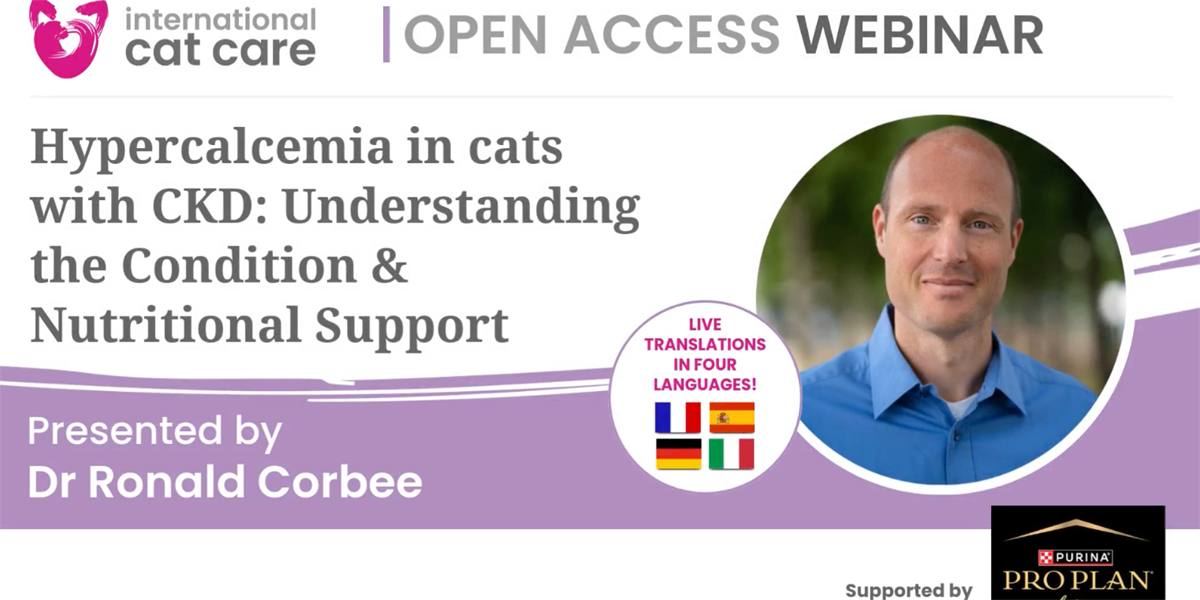 Hypercalcemia in cats with CKD: Understanding the Condition ...