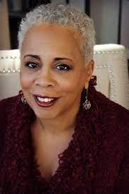 Michigan Supreme Court DEI Commission Update