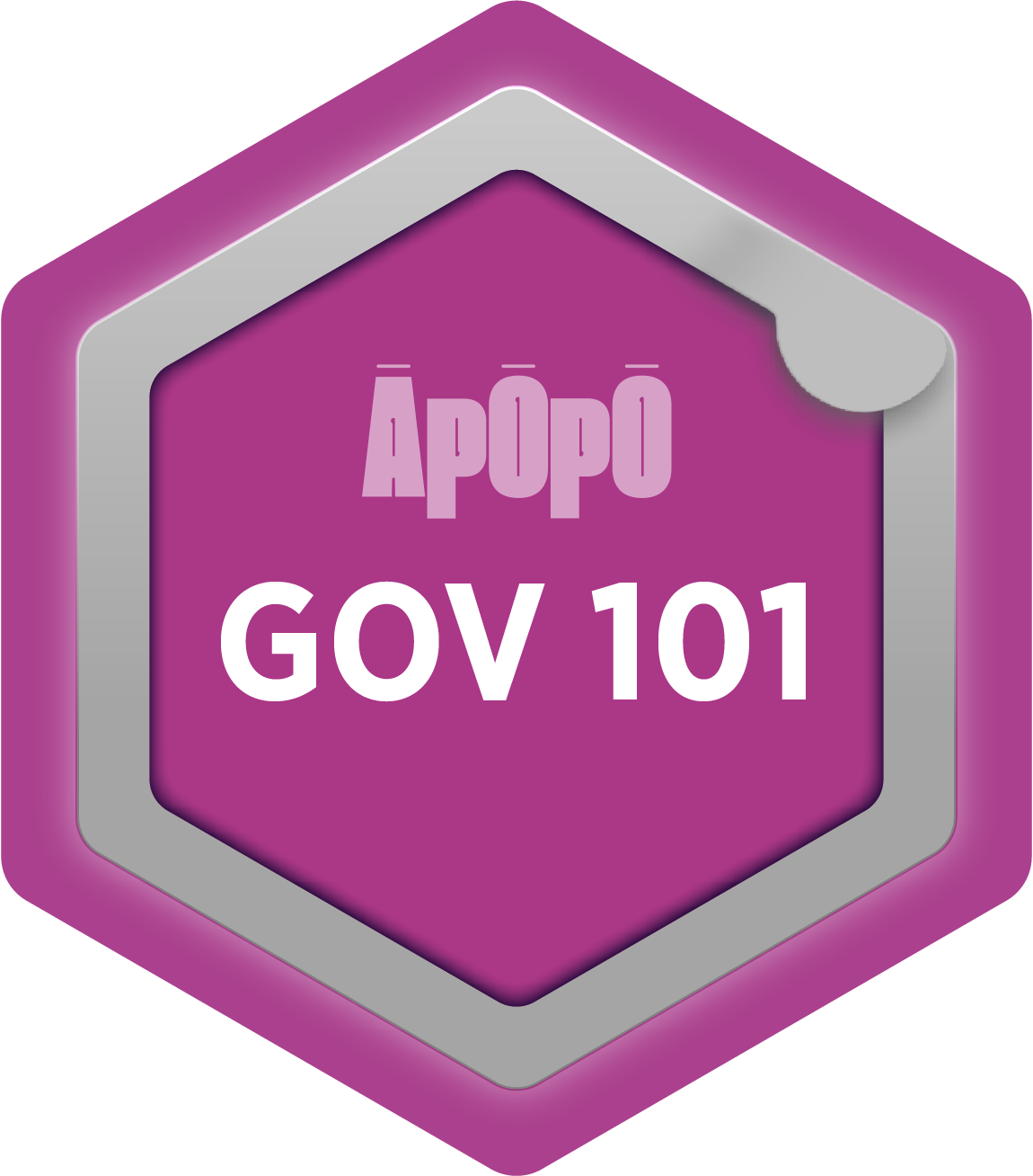 Āpōpō Free Digital Badge GOV 101 – Infrastructure Leadership and ...
