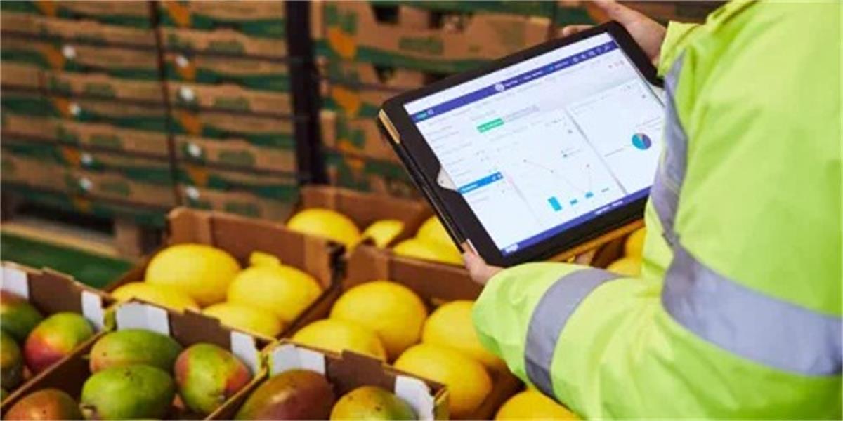 5 Ways Automated Software Solutions Are Fueling Growth In F&B