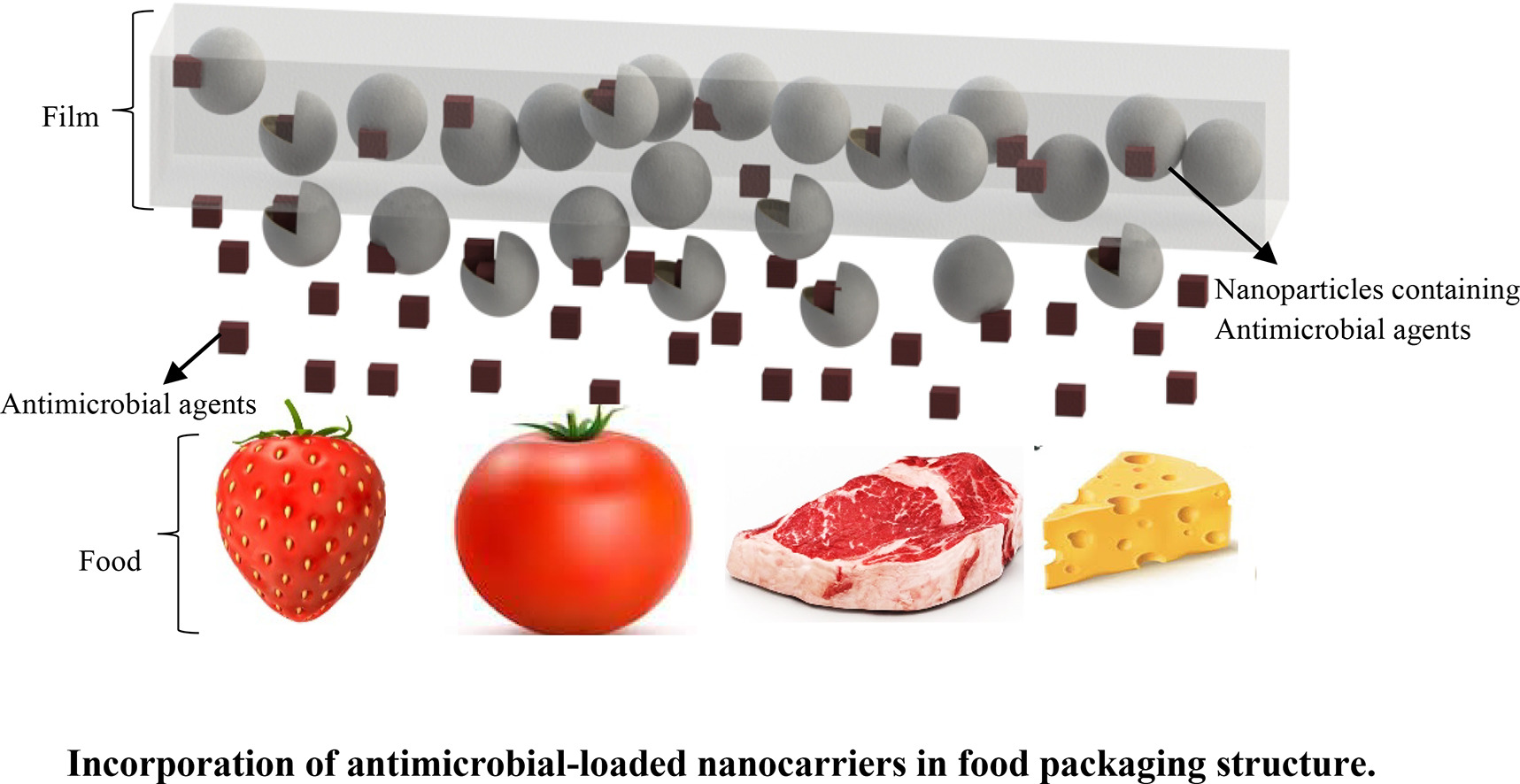 Antimicrobial-loaded nanocarriers for food packaging applications