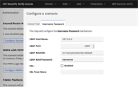 How To Setup IFA Using ISVA Lightweight Containers