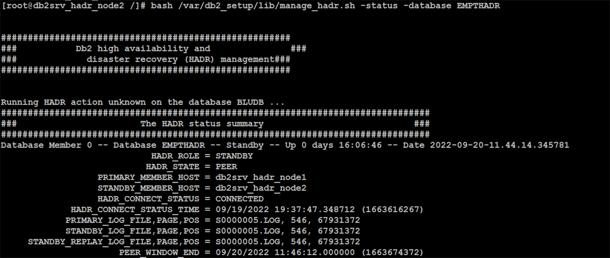 Need help to set up HADR on DB2 v11.5 in docker | Db2