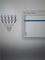 #AMOS | SPSS Statistics