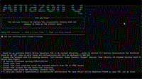 Amazon Q CLI & MCP: from SDLC to Operations