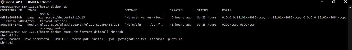 How to customize new static HTML content to webMethods API Portal on ...