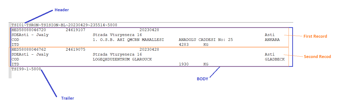 How To Convert Positional Flat File With Header And Trailer To Document Type Using Connector