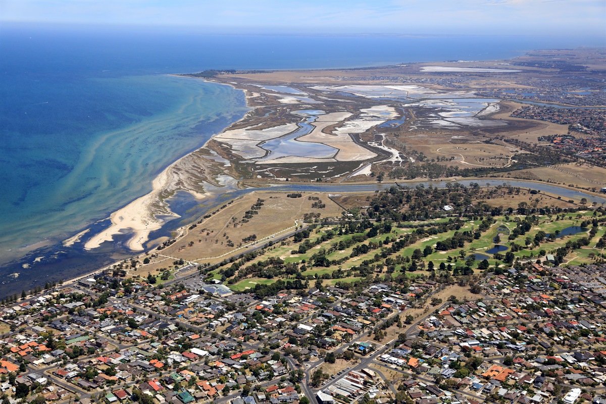 Hobsons Bay’s Urban Forest Strategy to increase tree canopy