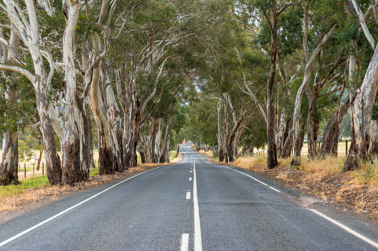 Panel to identify roads for transfer from rural and regional councils ...