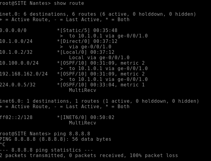 SD-WAN Lab on eve-ng | Routing