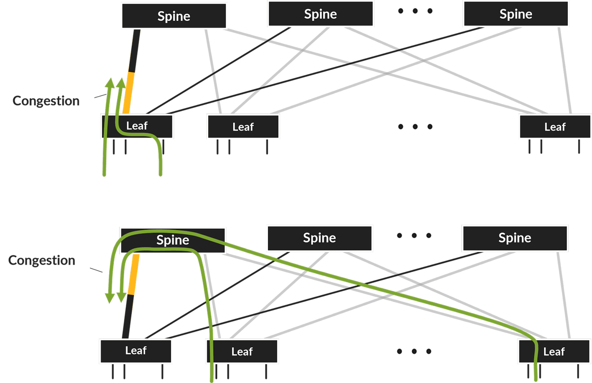 To Spray or Not to Spray