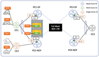 EVPN E-LAN on PTX10k Platforms
