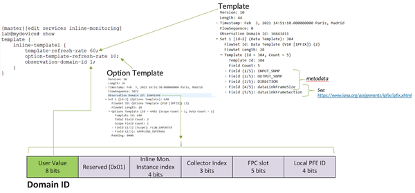 From sFlow to IMON Flow Sampling on MX10K Platforms