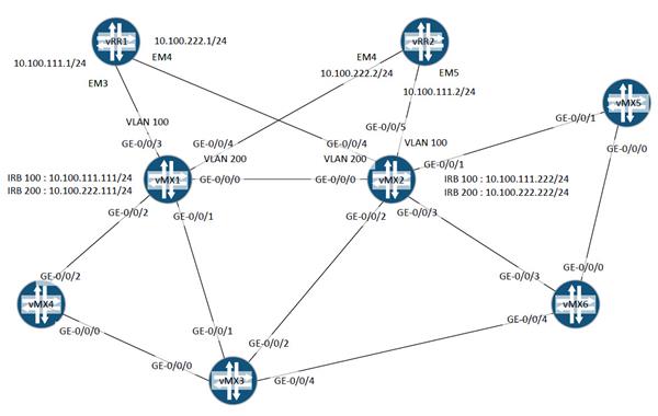 TPID configuration for IRB interface | Labs