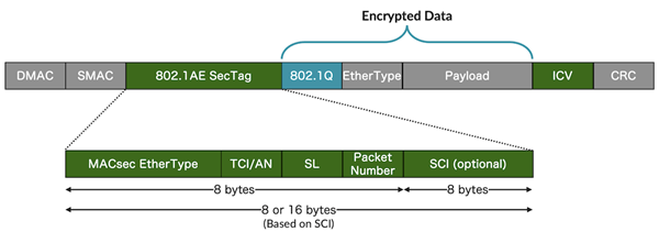 MACsec and L2PT over Non-Point-to-Point Networks in Junos