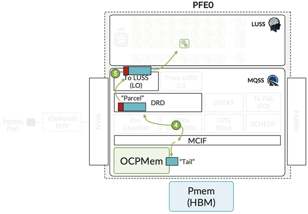 Trio 6 Packet Walkthrough