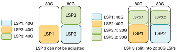 Adaptive Resource Control with Container LSPs