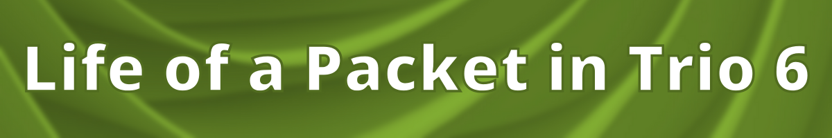 Trio 6 Packet Walkthrough