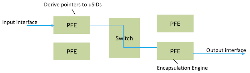 SRv6 in PTX Express 5