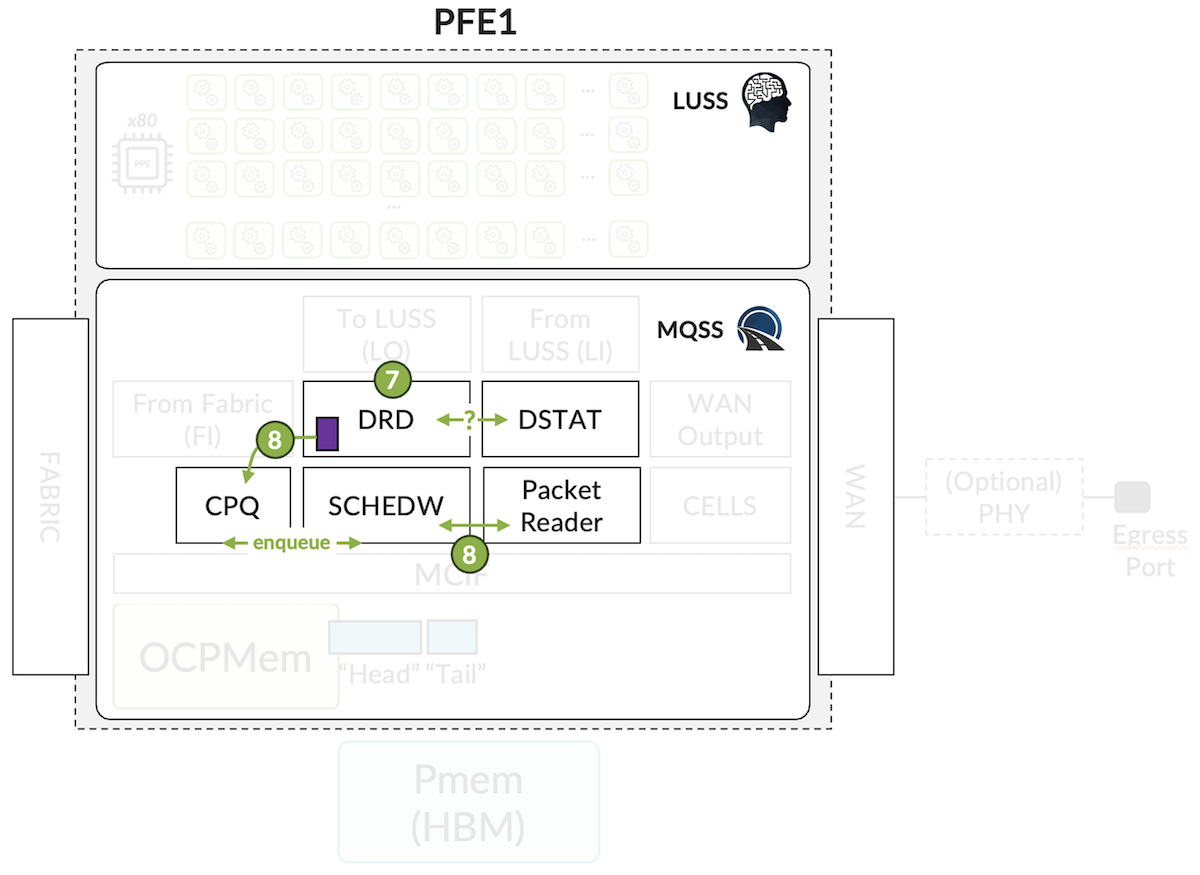 Trio 6 Packet Walkthrough