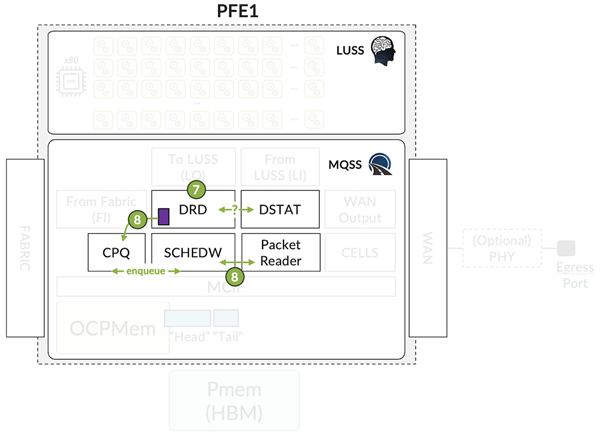 Trio 6 Packet Walkthrough