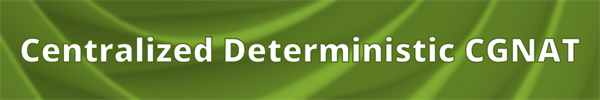 Centralized Deterministic CGNAT