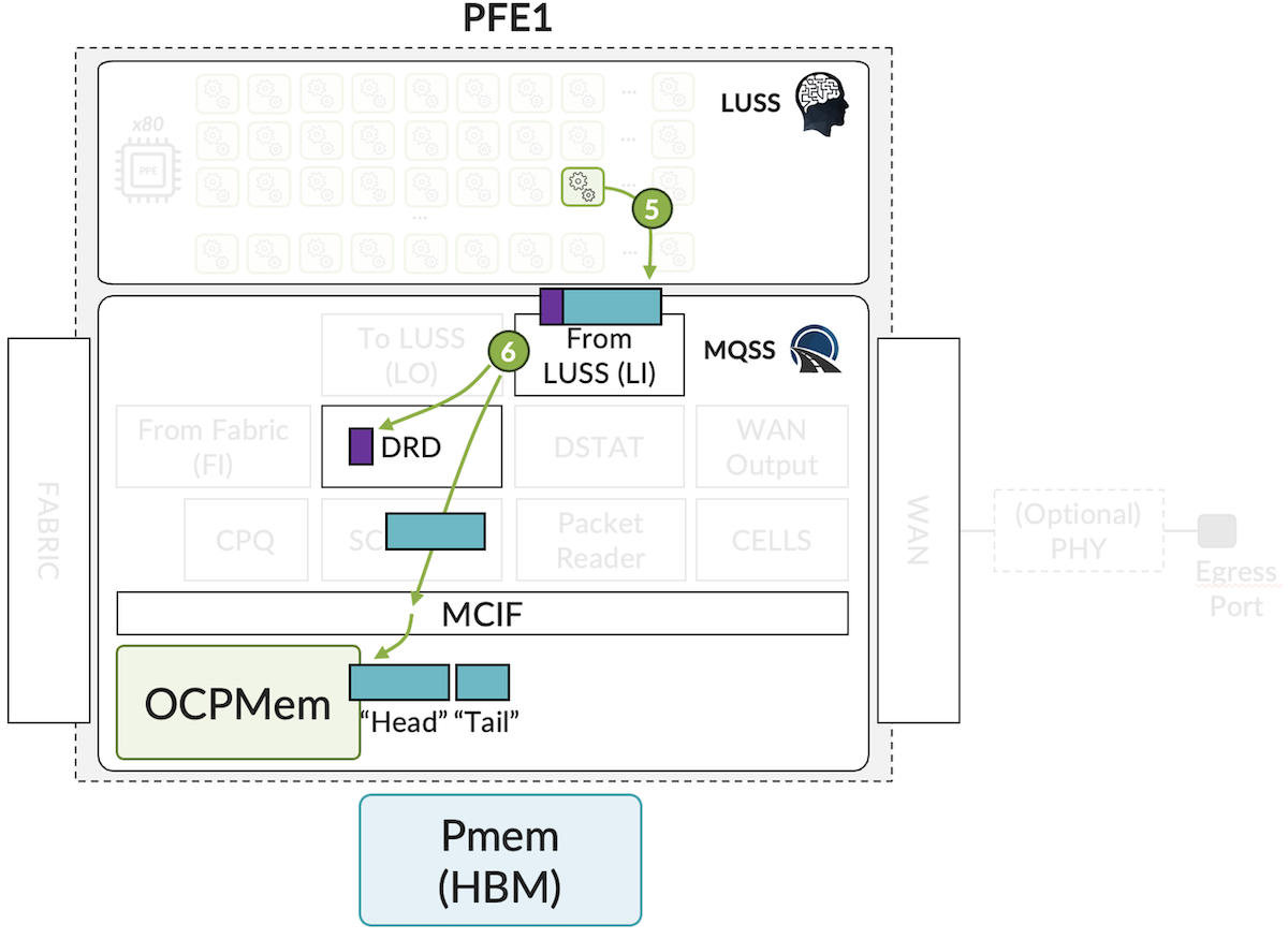 Trio 6 Packet Walkthrough