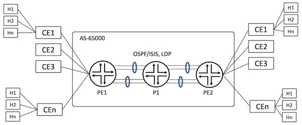 VPLS Validation on ACX7000