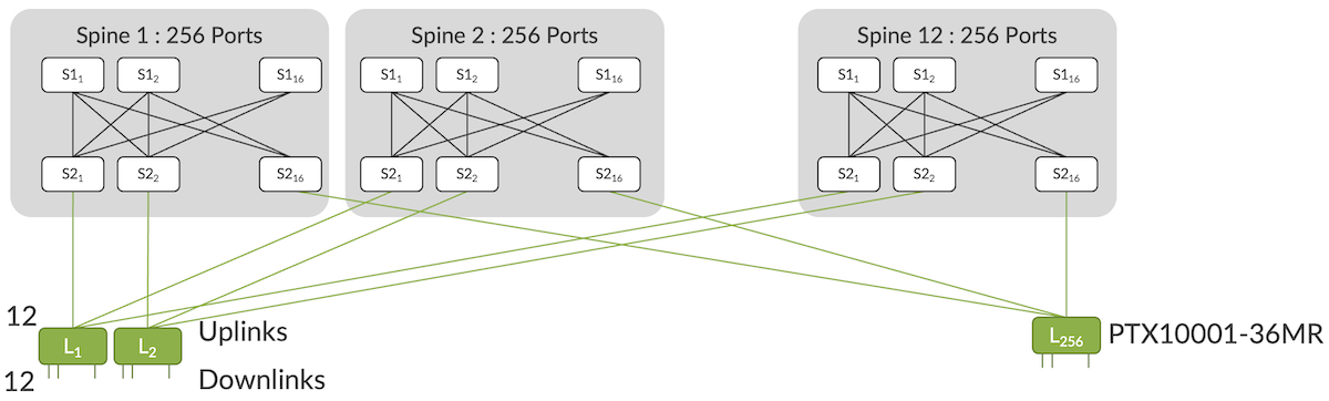 PTX10001-36MR Introduction