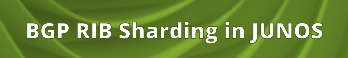 BGP RIB Sharding