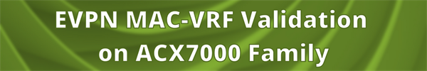 EVPN MAC-VRF Validation on ACX7000