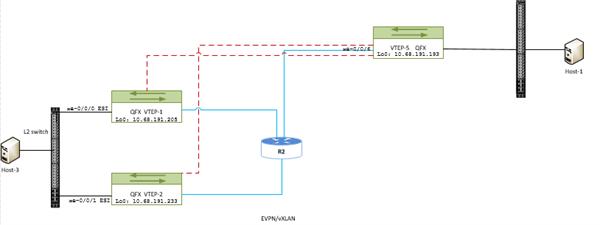 More questions about EVPN multihome configuration | Data Center
