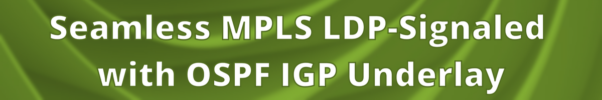 Seamless MPLS LDP-Signaled with OSPF IGP Underlay