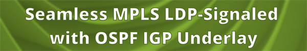 Seamless MPLS LDP-Signaled with OSPF IGP Underlay
