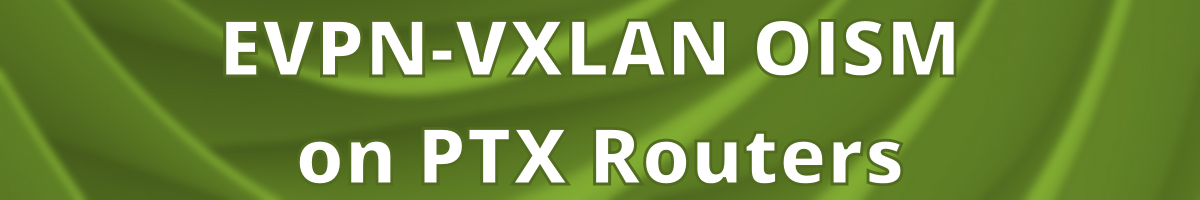 EVPN-VXLAN OISM on PTX Routers