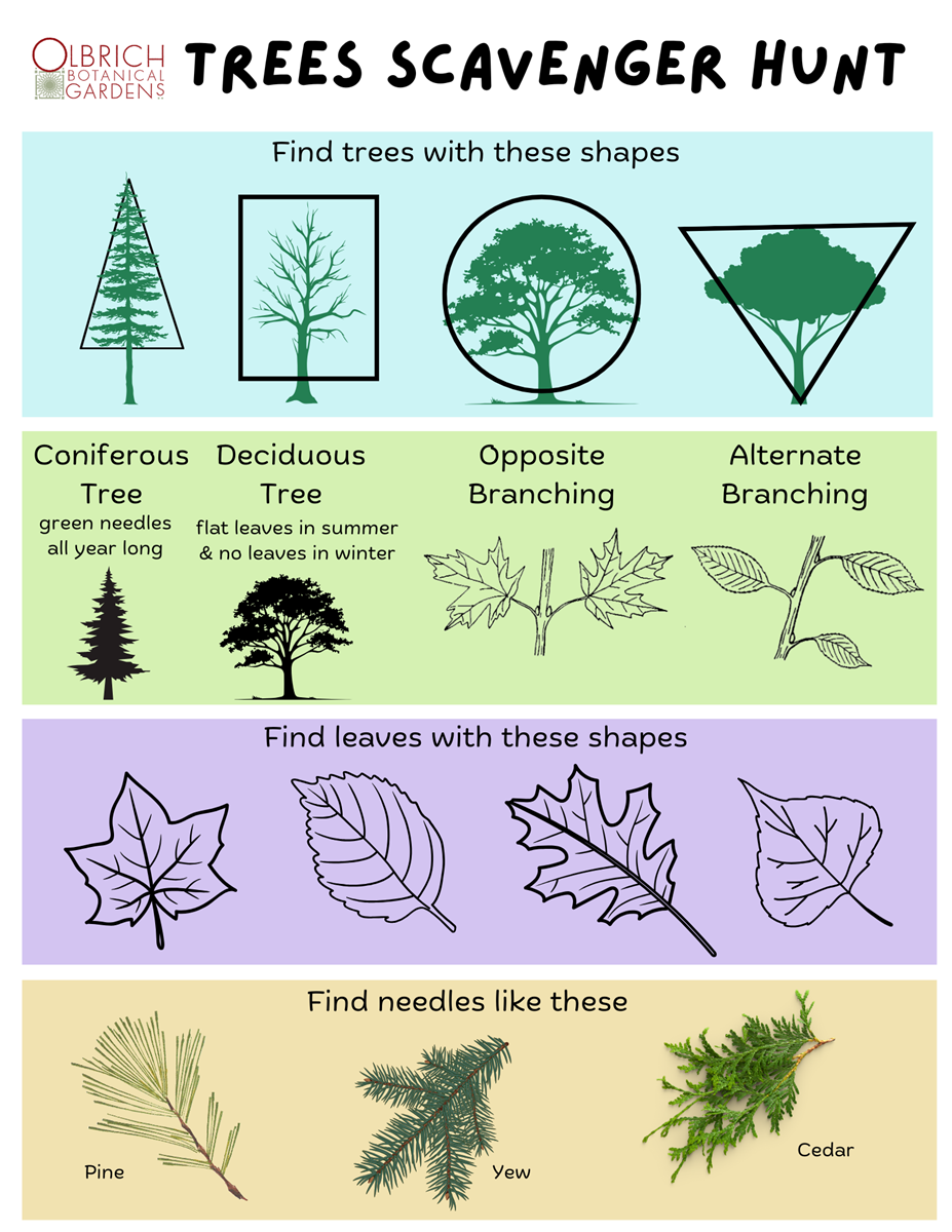 Share a Printable – Kids Garden Month Challenge #3 | Growing Together ...