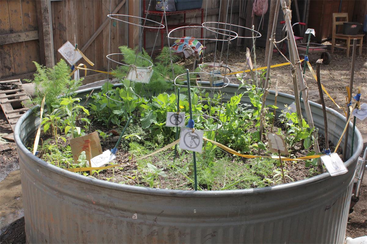 Preschool curriculum for Literacy in the Garden. | Growing Together ...