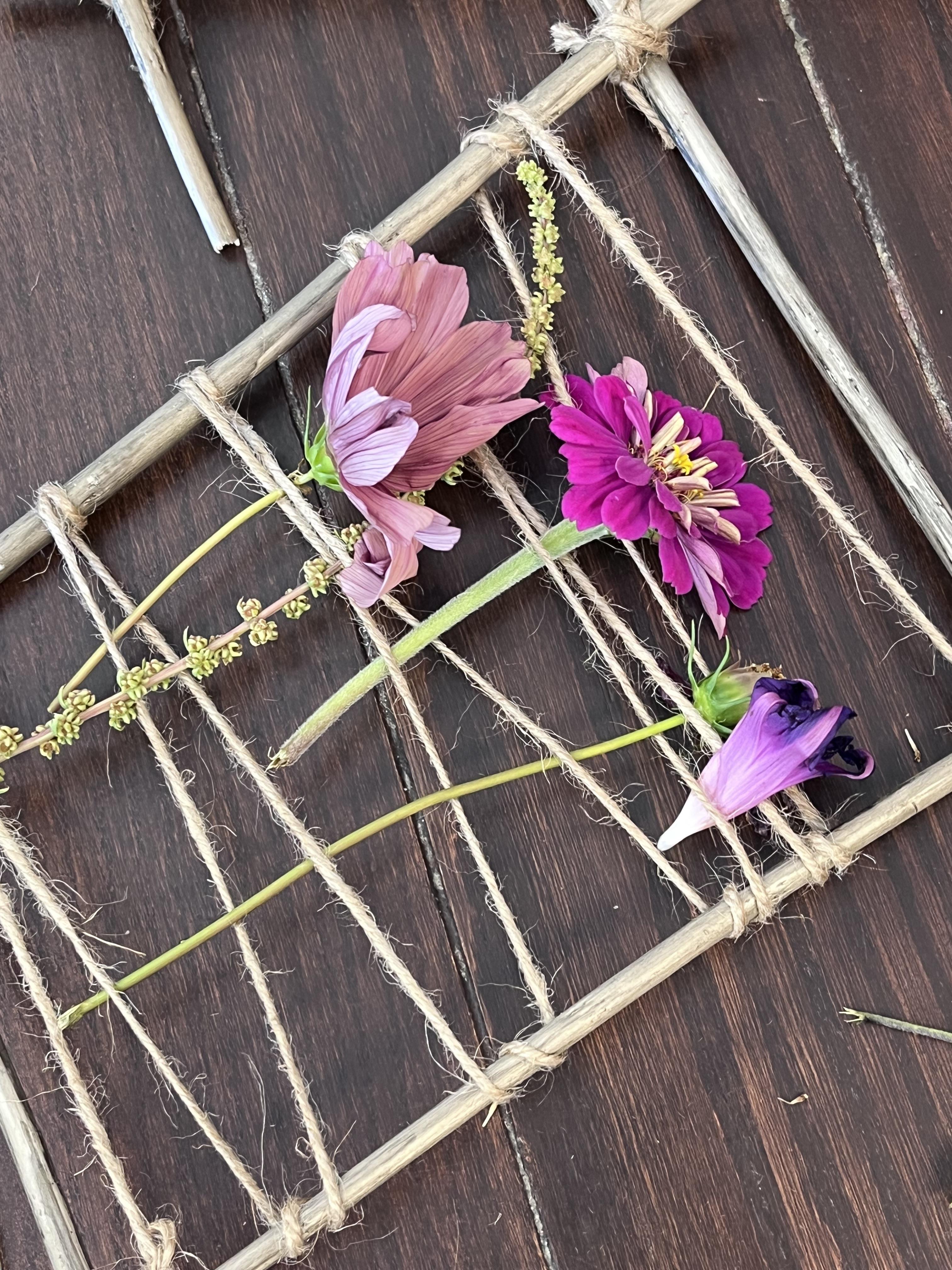 fresh flower activity ideas - 10-15 min max | Growing Together: Open Forum