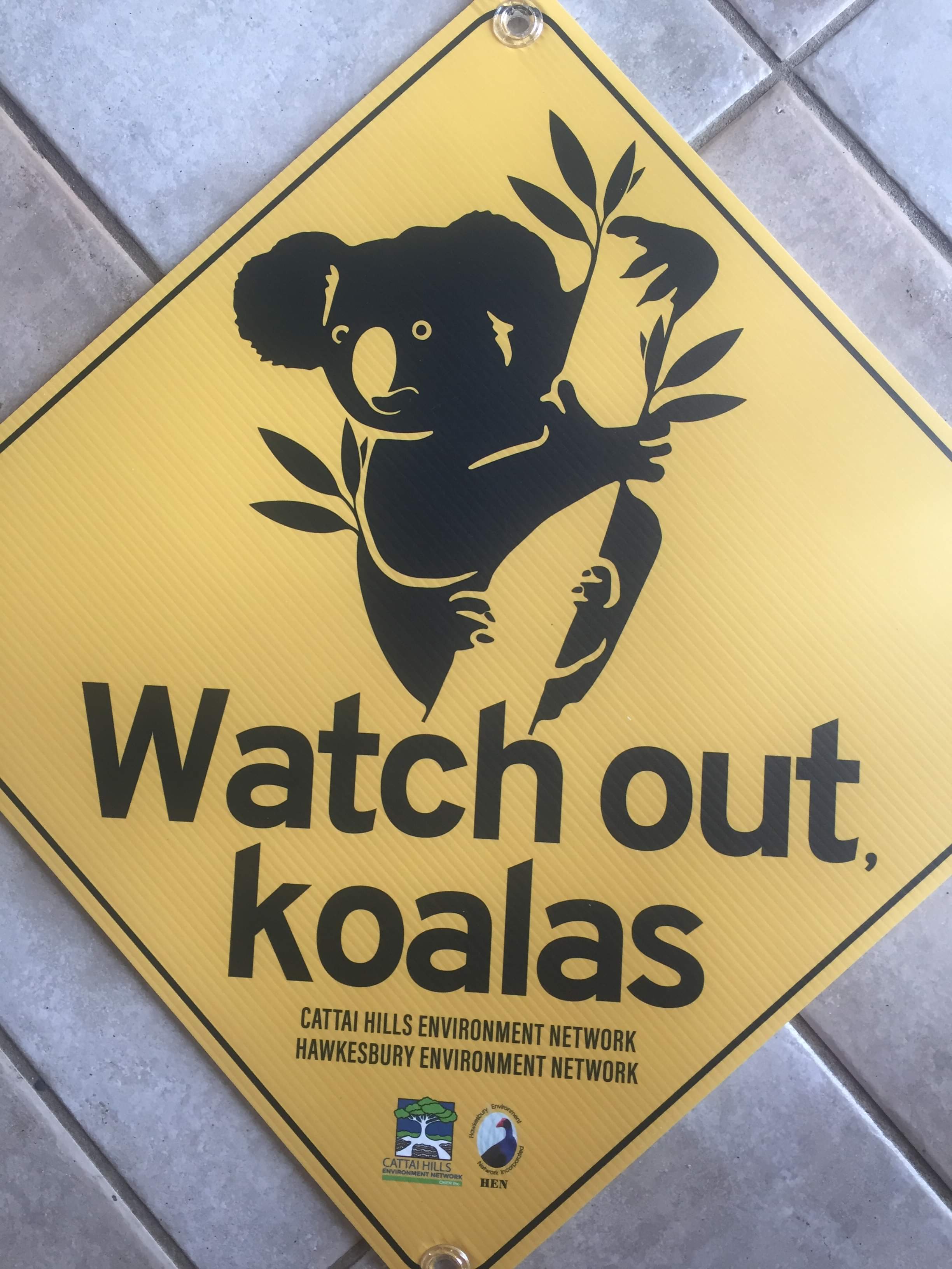 Signs educate community about the likelihood of Koalas | Native Flora ...