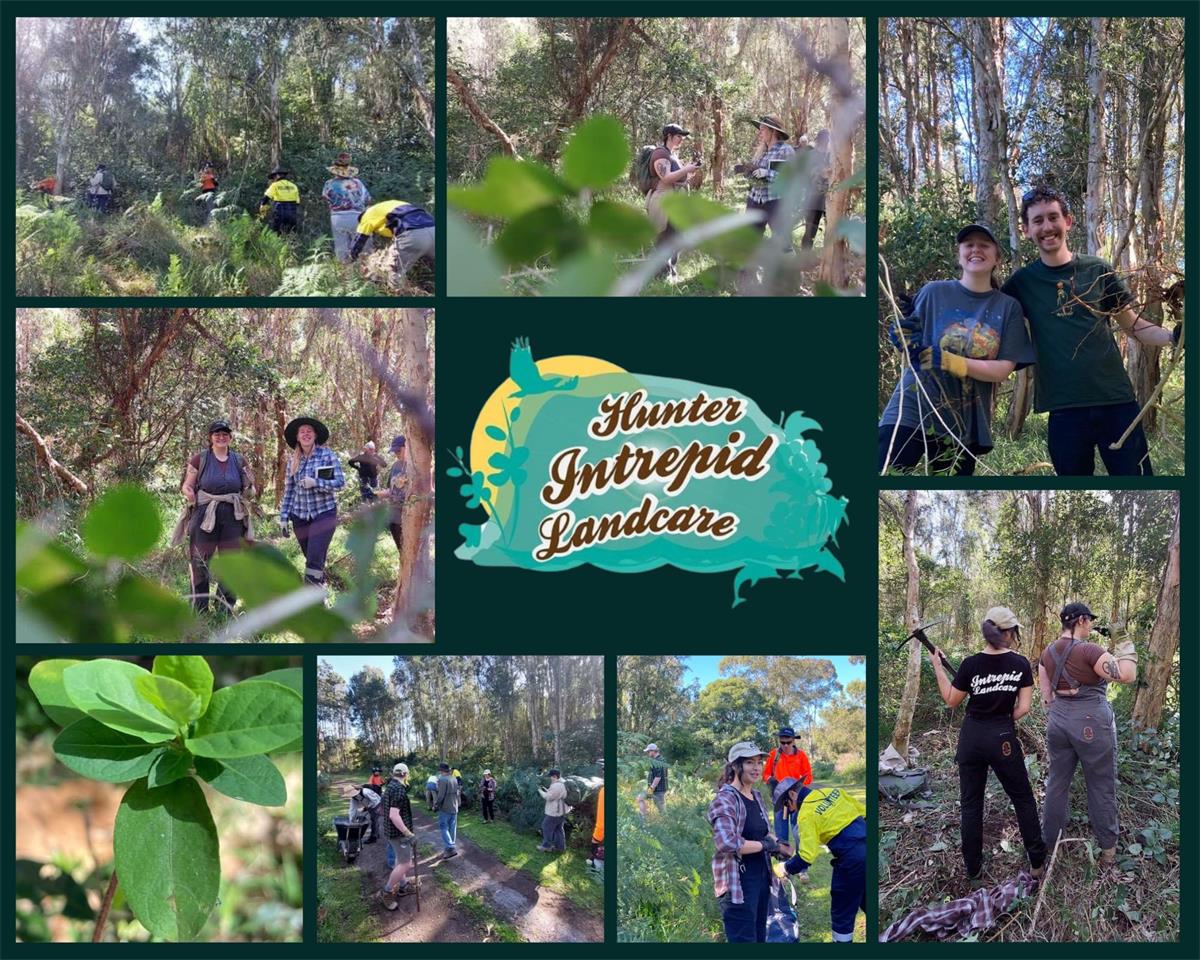National Landcare Week 2023 - Hunter Intrepid Landcare Celebrates at ...