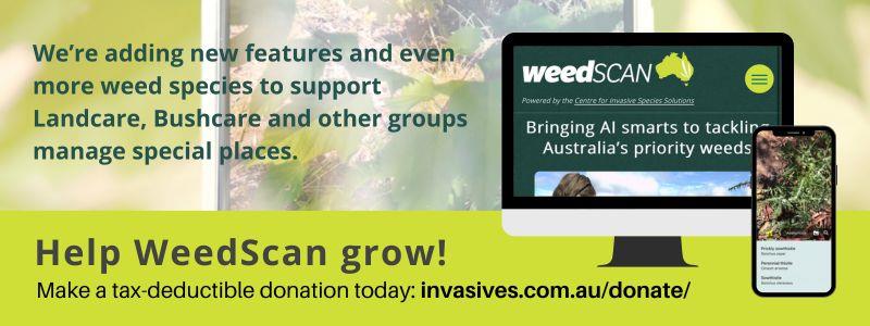 Help WeedScan use even more AI smarts to tackle Australia’s weed burden