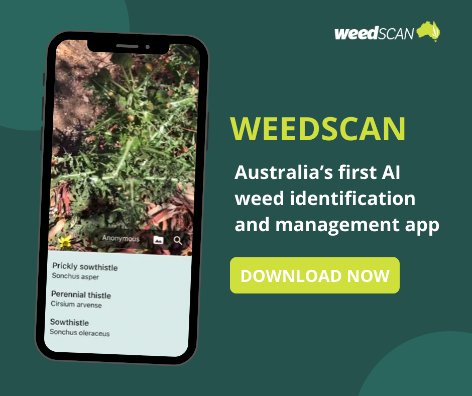New AI-powered app set to transform weed management in Australia