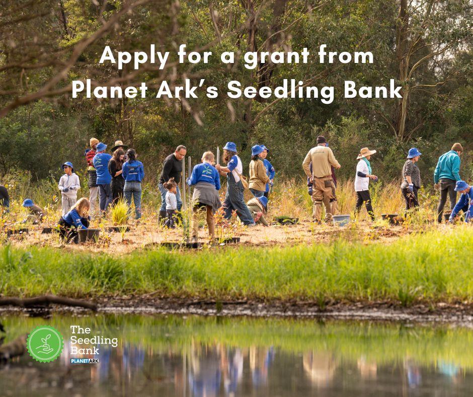 Apply for a grant from Planet Ark's Seedling Bank | National