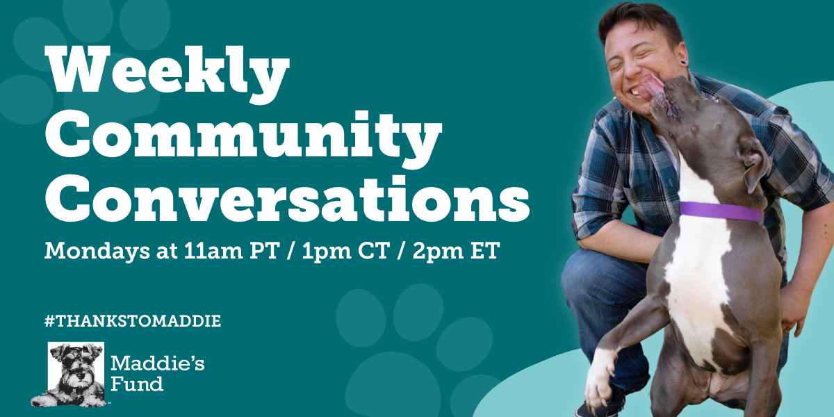 Animal Welfare Professionals - Maddie's Pet Forum