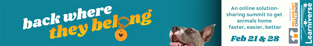 By getting just 20% more stray dogs back home, we have the power to end ...