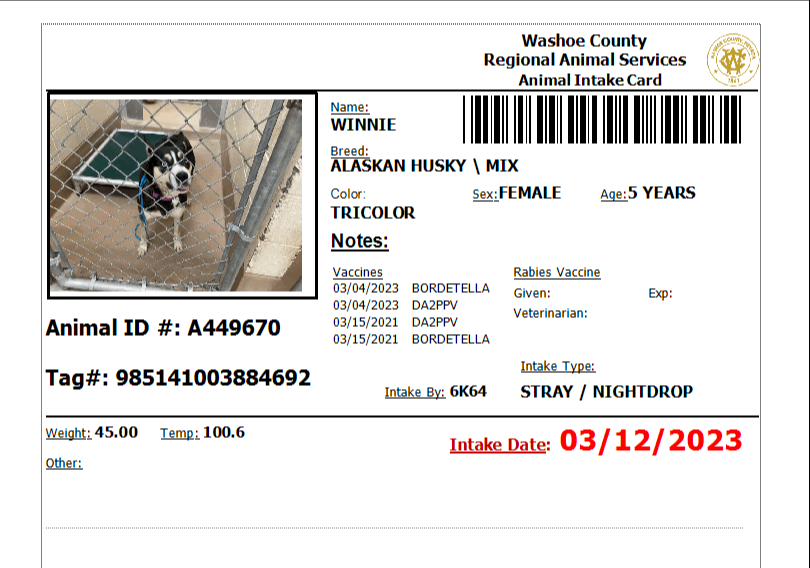 Show me your kennel cards! | Animal Welfare Professionals