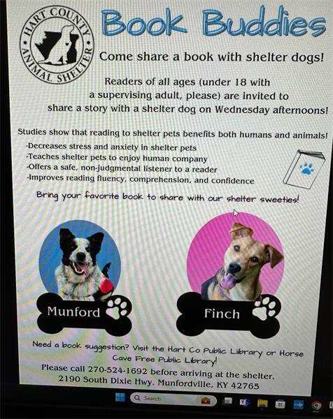 Reading to dogs as enrichment. Best scenarios for this, if dogs remain ...