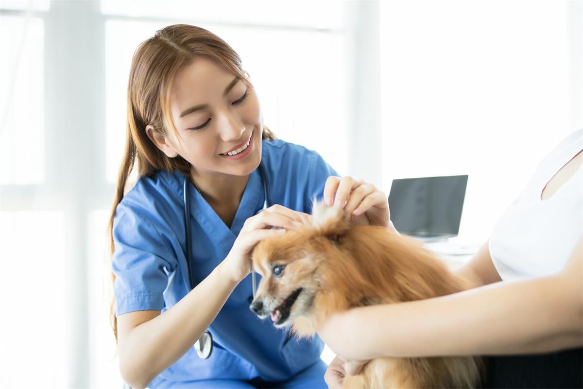 New Report Reveals Growing Barriers to Veterinary Care for Pet Families ...